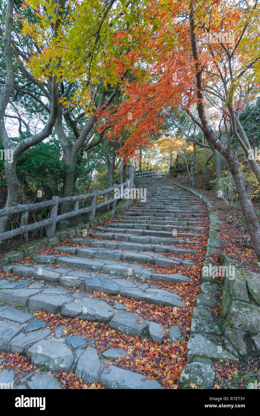 Stone stairway maple leaves hi-res stock photography and images - Alamy