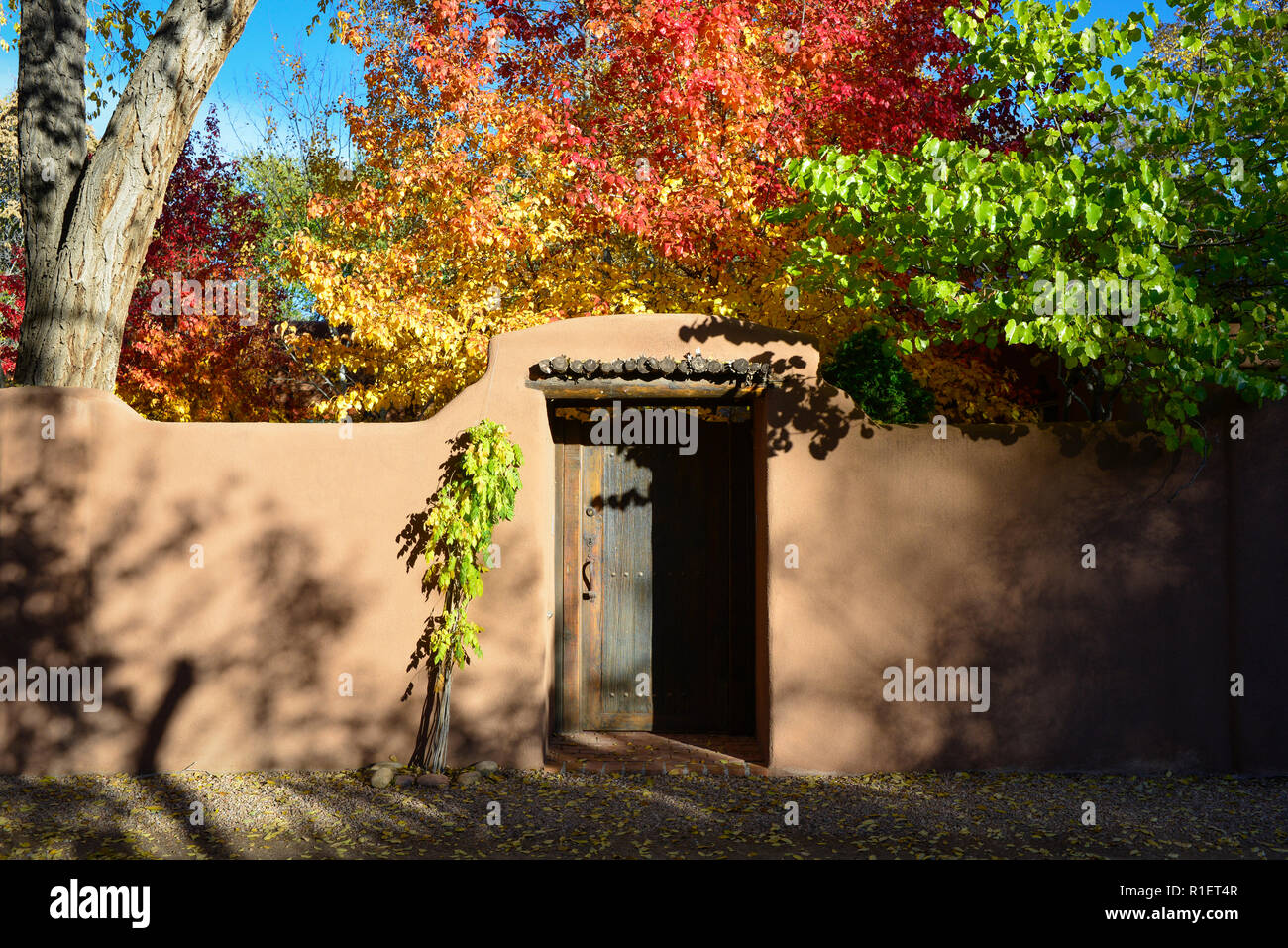 Autumn trees with red and yellow leaves inside a courtyard with a ...
