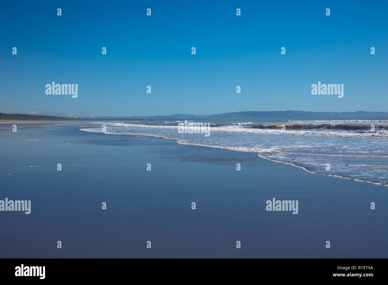 Exploring a local beach on a beautiful Spring morning Stock Photo - Alamy