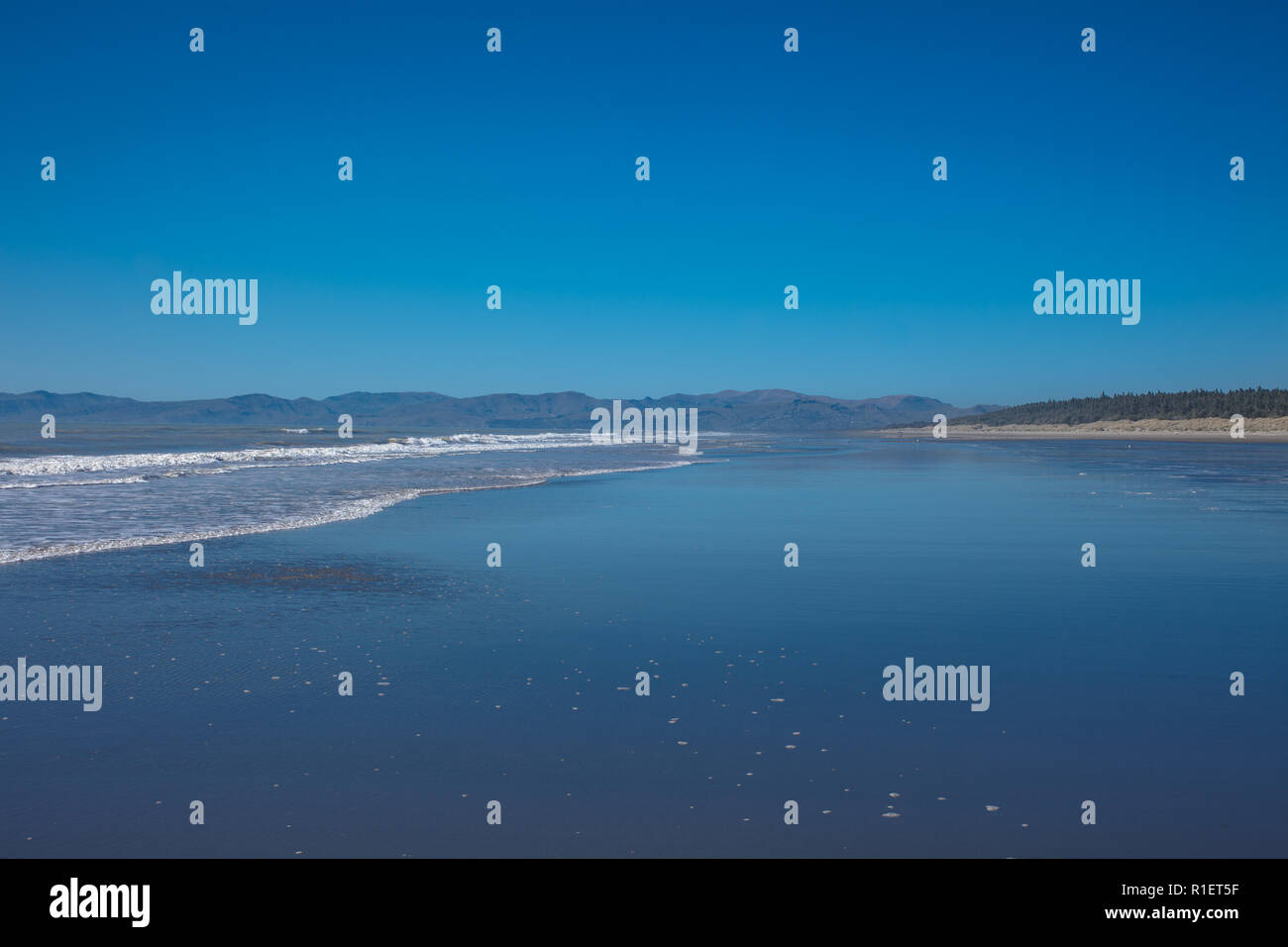 Exploring a local beach on a beautiful Spring morning Stock Photo - Alamy