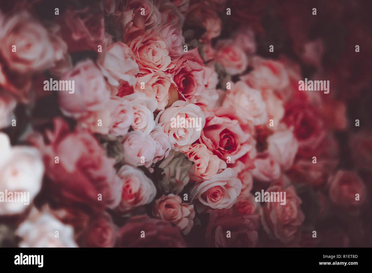 Artificial Flower Field background, vintage tone Stock Photo - Alamy