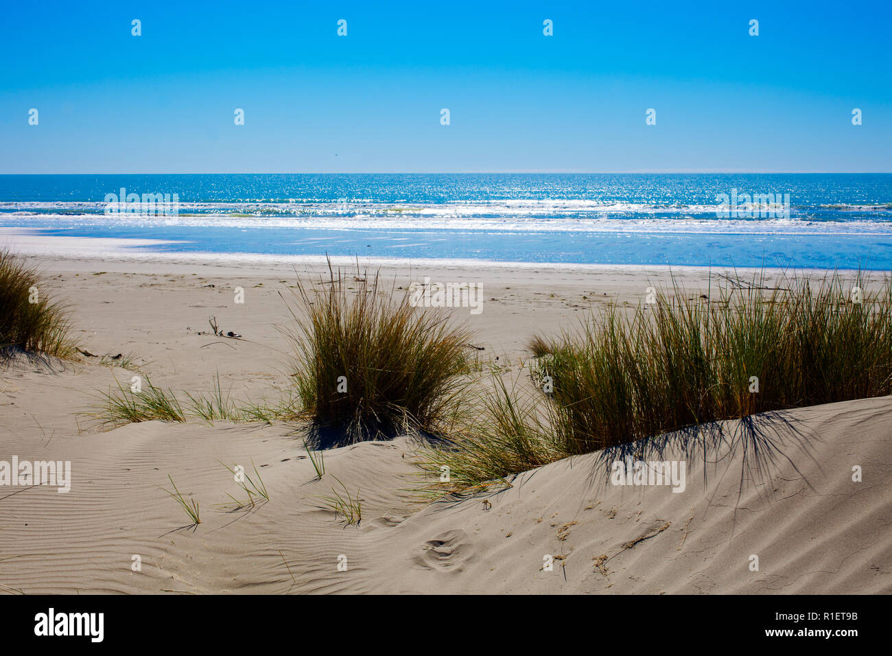 Exploring a local beach on a beautiful Spring morning Stock Photo - Alamy