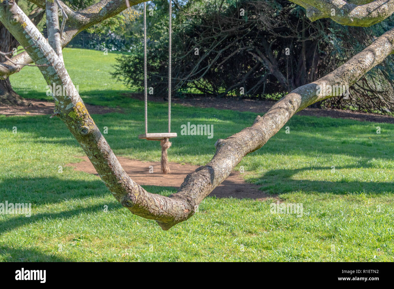 Old rope swing hangs still in the public park among green trees and a ...