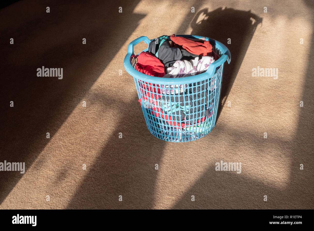 Freshly laundered clothing items inside a blue plastic clothes basket ...