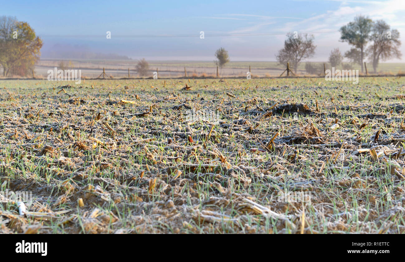 frozen field in rural landscape Stock Photo - Alamy