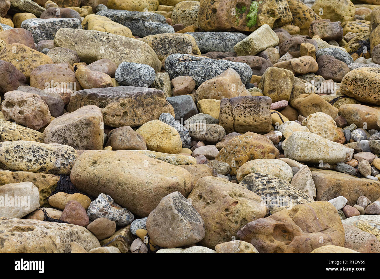 stone and rock patterns on a beach in Tenby Wales Stock Photo - Alamy