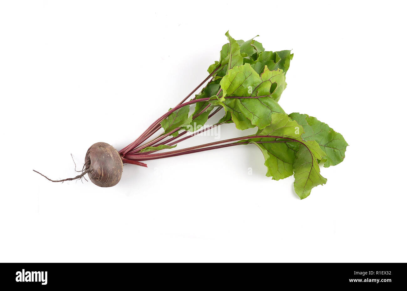 Beet fruit on white background Stock Photo - Alamy