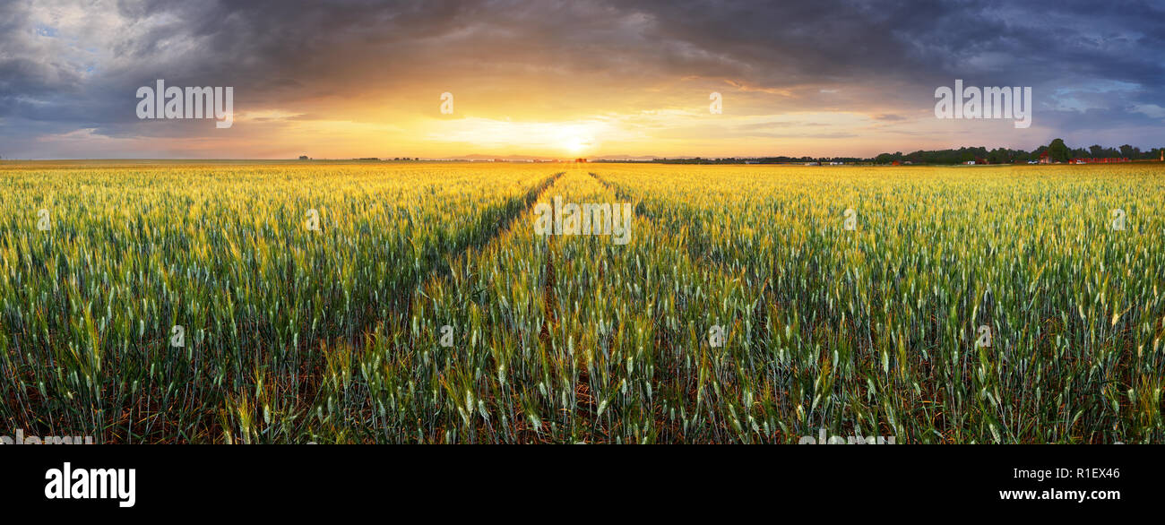 Agriculture panorama hi-res stock photography and images - Alamy
