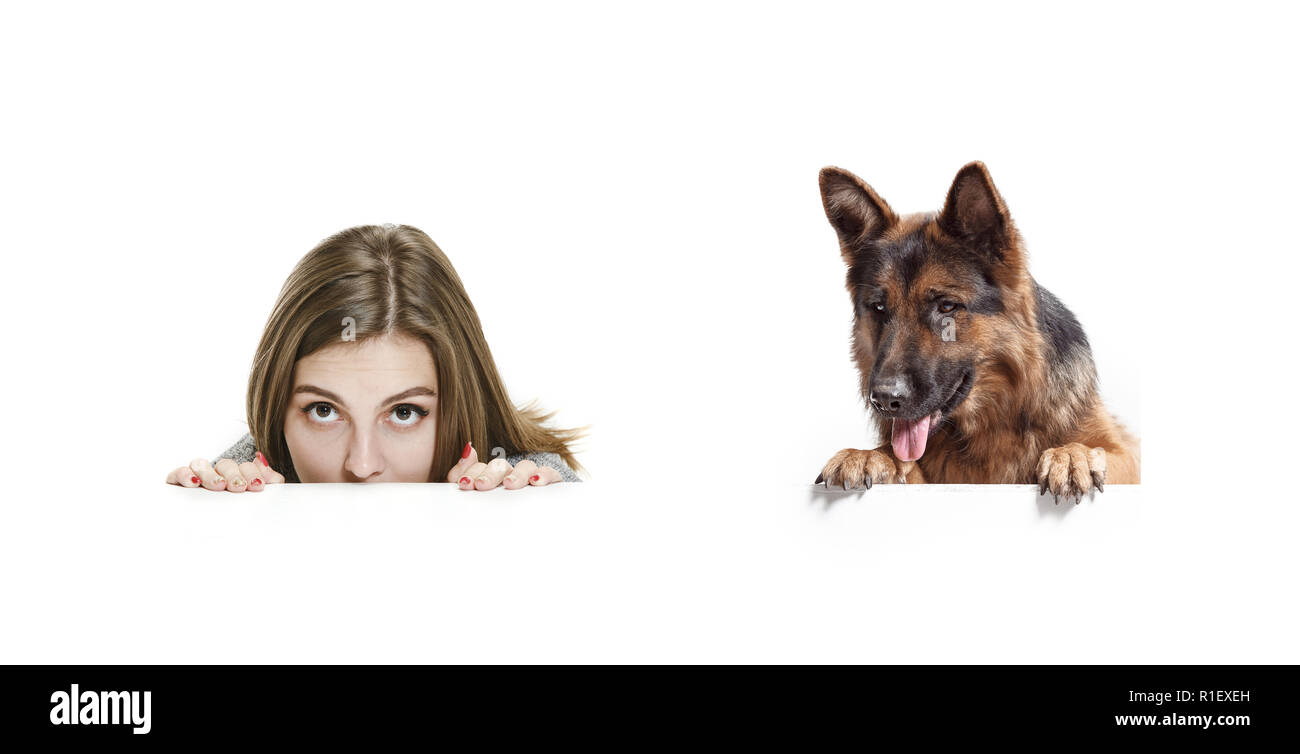 The sad serious woman and her dog over white background. Shetland ...
