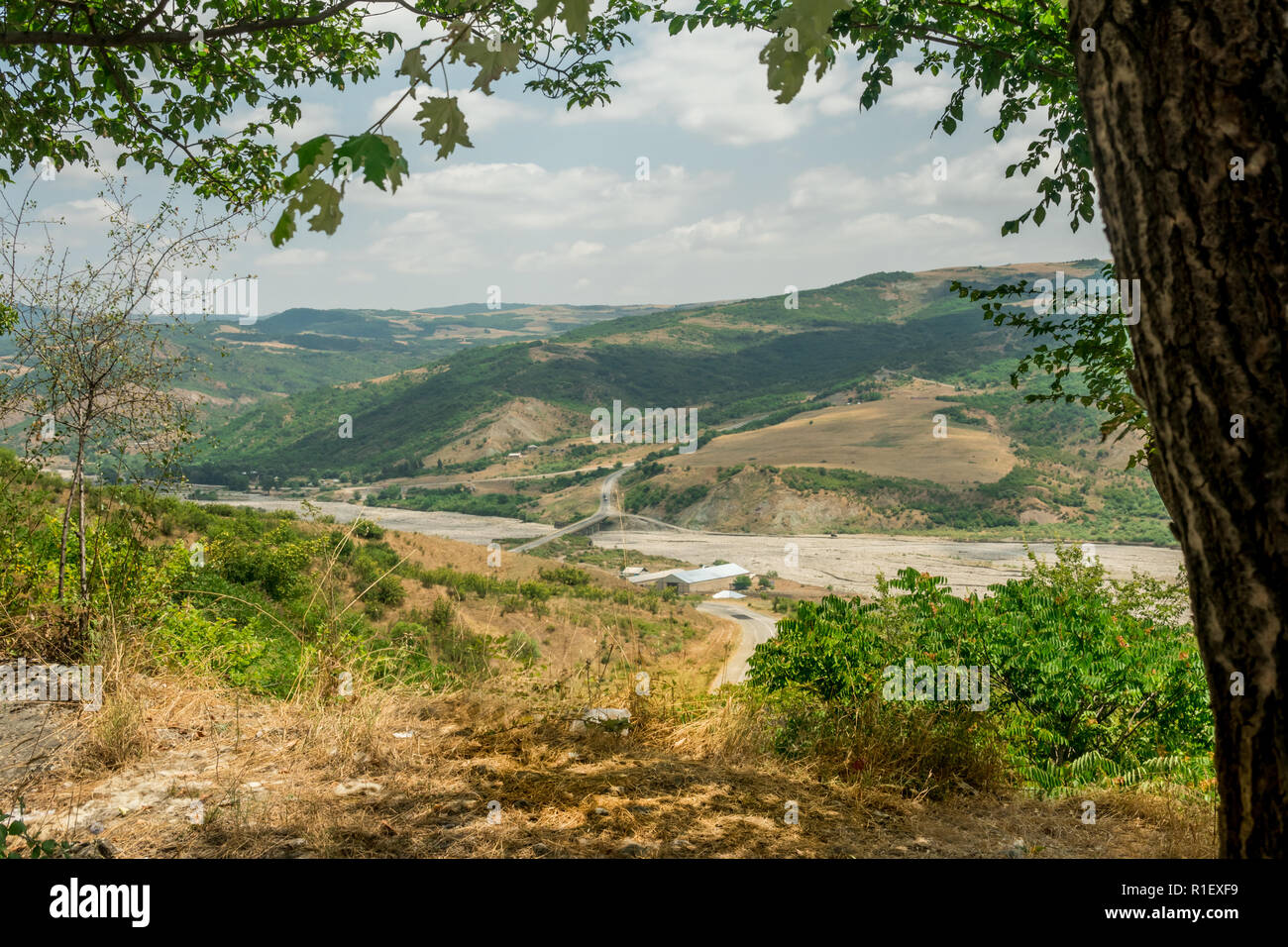 Tree border frame hi-res stock photography and images - Alamy
