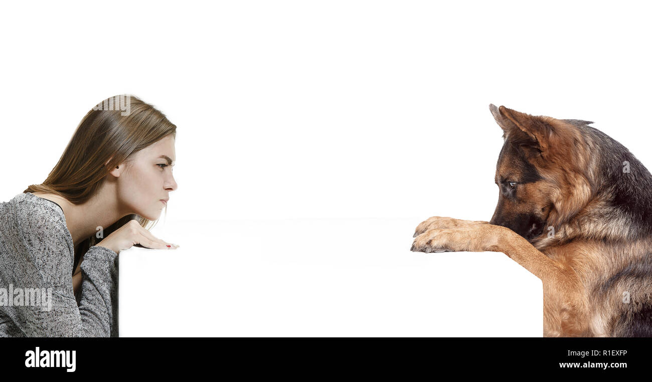 The sad serious woman and her dog over white background. Shetland ...