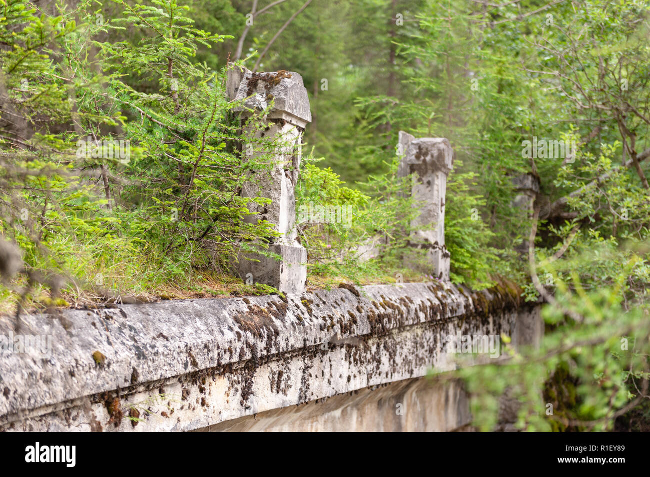 An old Abandoned Bridge Stock Photo - Alamy