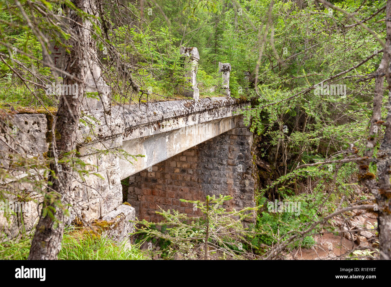 An old Abandoned Bridge Stock Photo - Alamy