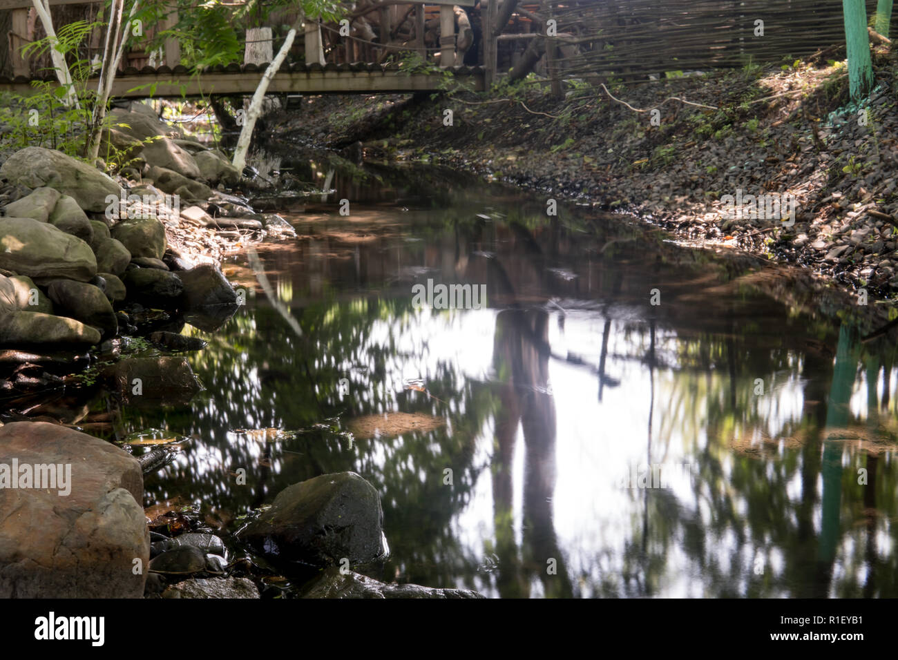 Small water pond in a forest with reflection of trees Stock Photo - Alamy