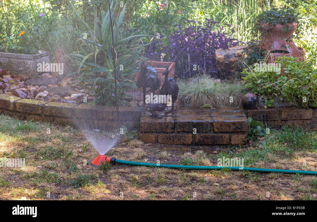 A water sprinkler sprays a dry patch of lawn image in landscape format ...