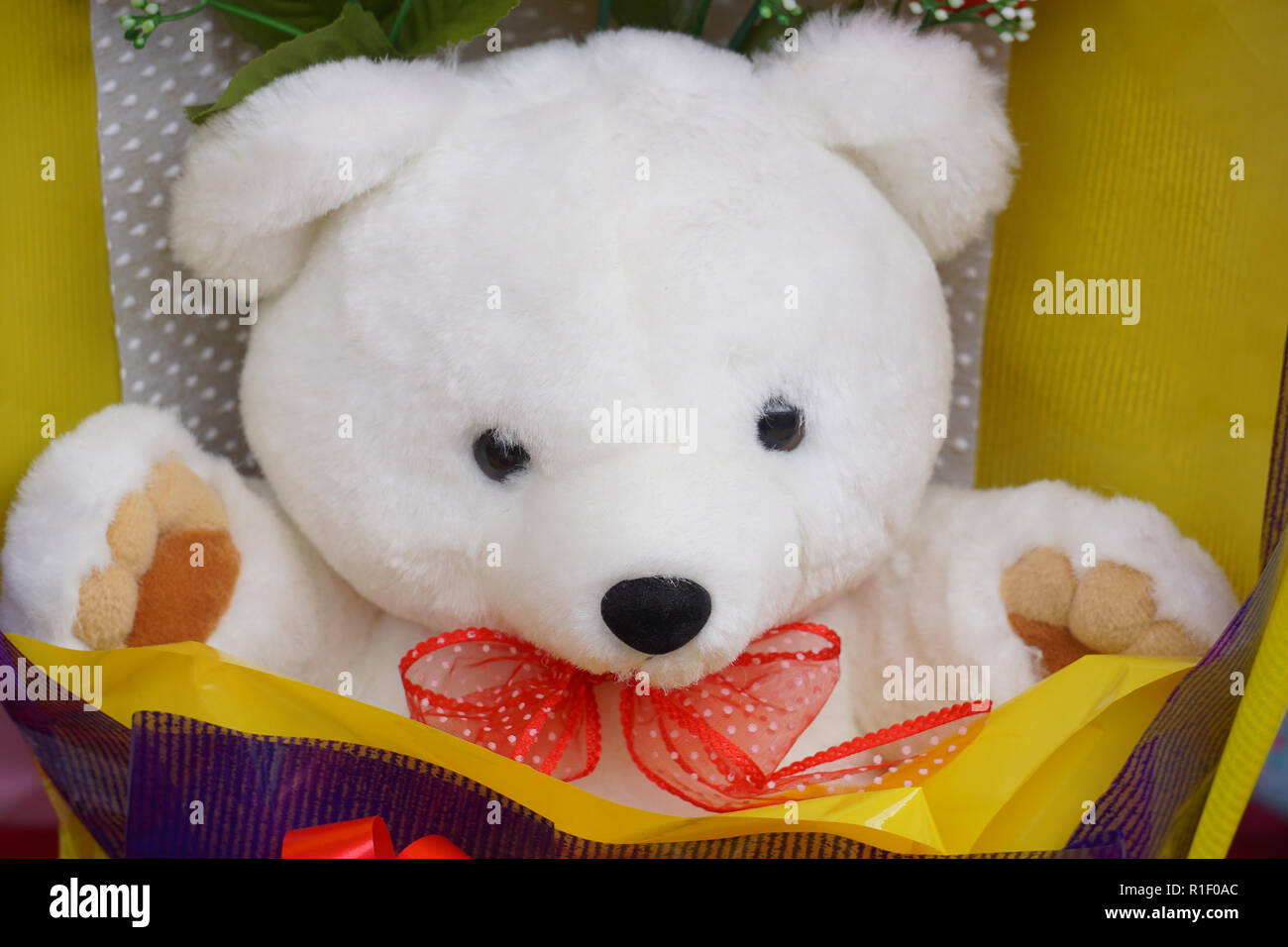 cute teddy bear Stock Photo - Alamy