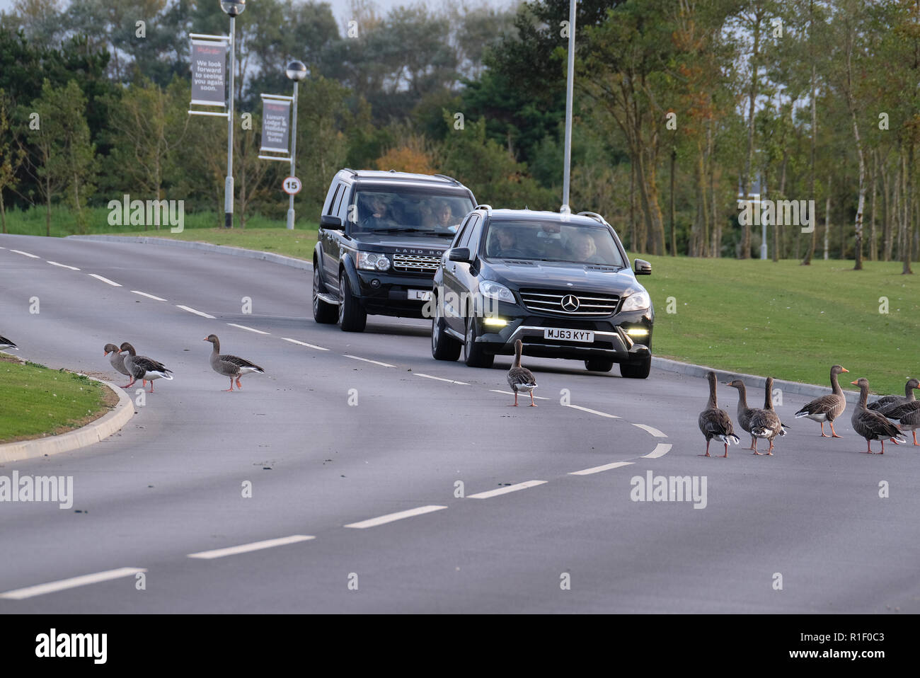 Stop the vehicle hi-res stock photography and images - Alamy