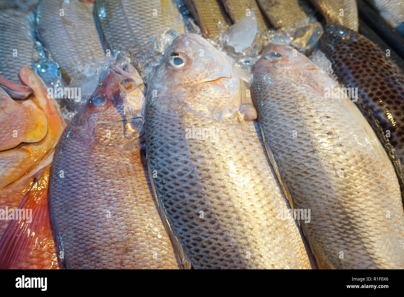 Fish hawker hi-res stock photography and images - Alamy