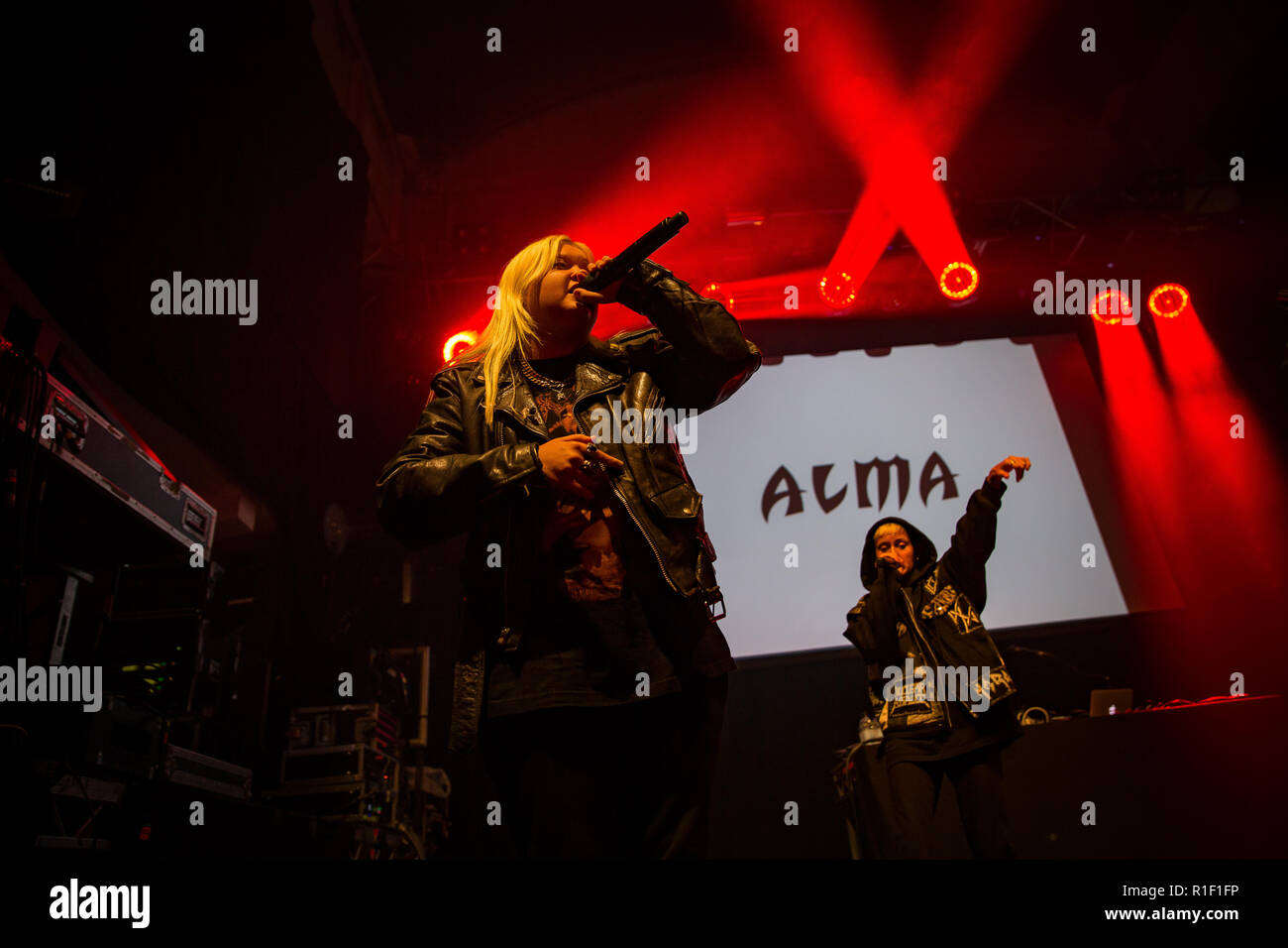 Iceland, Reykjavik - November 8, 2018. The Finnish singer, songwriter ...