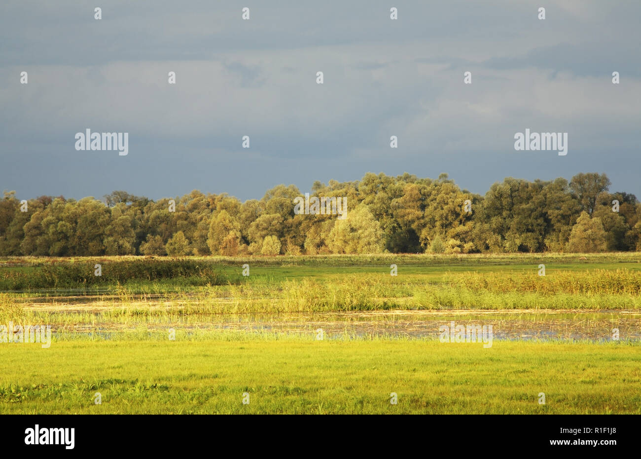 Landscape near Turka. Poland Stock Photo - Alamy