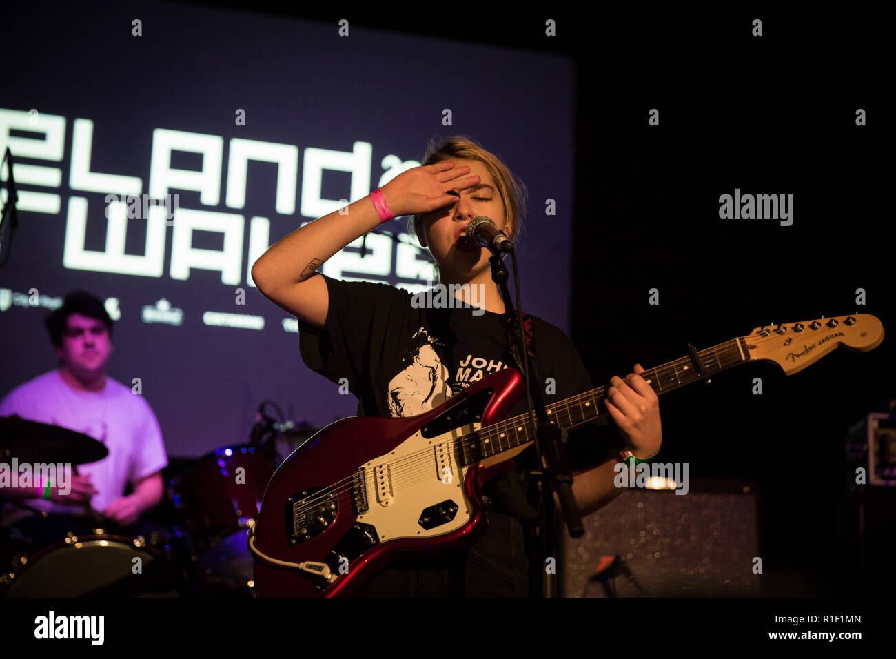 Iceland, Reykjavik - November 9, 2018. The American singer and ...