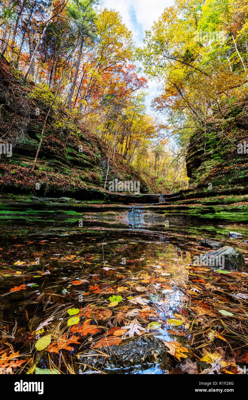 Scenic Illinois