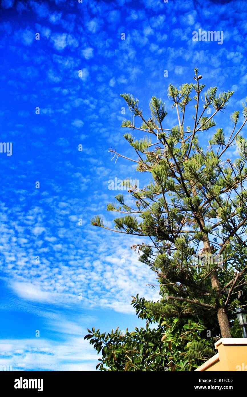 Autocumulus hi-res stock photography and images - Alamy