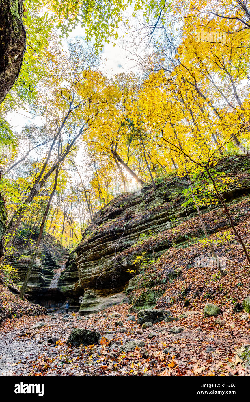 A forest trail in Matthiesen State Park in the fall with the foliage ...