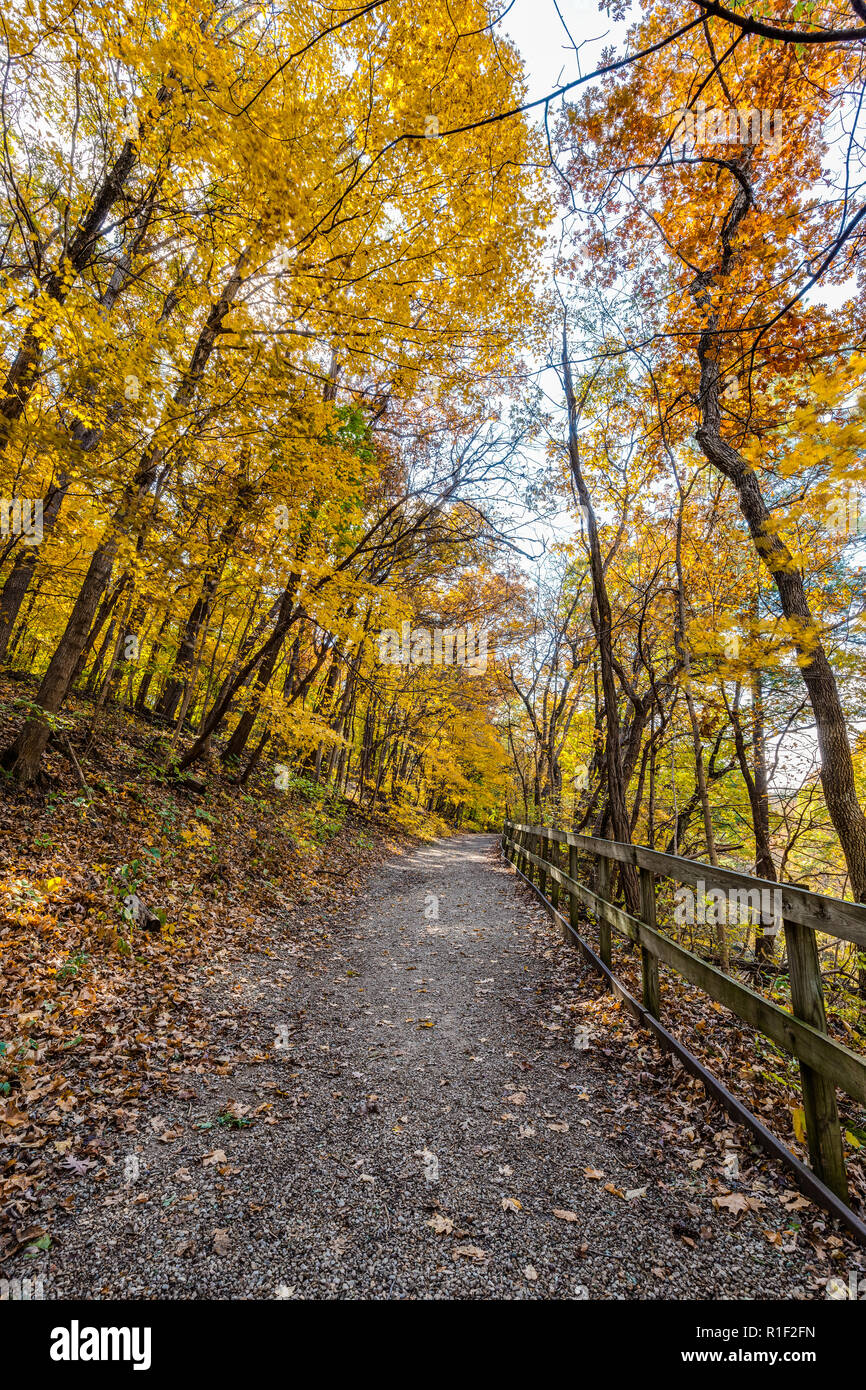 A forest trail in Matthiesen State Park in the fall with the foliage ...