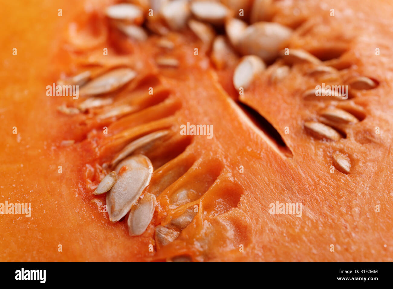Cross section ripe squash hi-res stock photography and images - Alamy