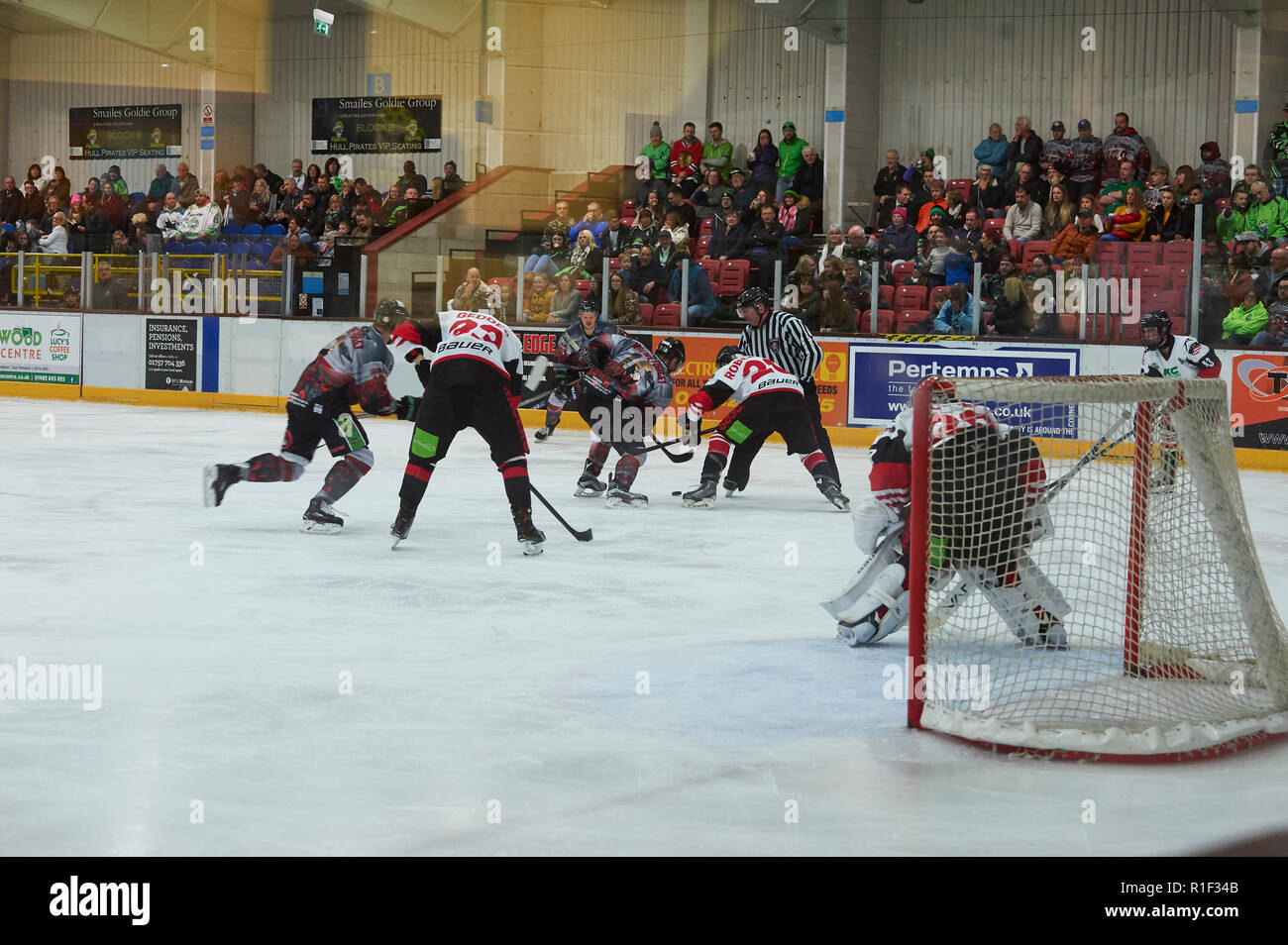 Hull ice arena hi-res stock photography and images - Alamy