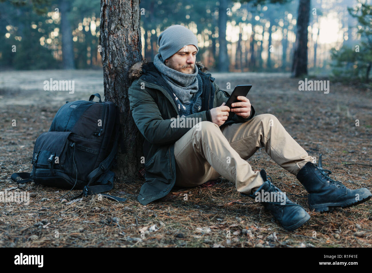 adult handsome Male traveler with backpack Sits On autumn pine forest ...