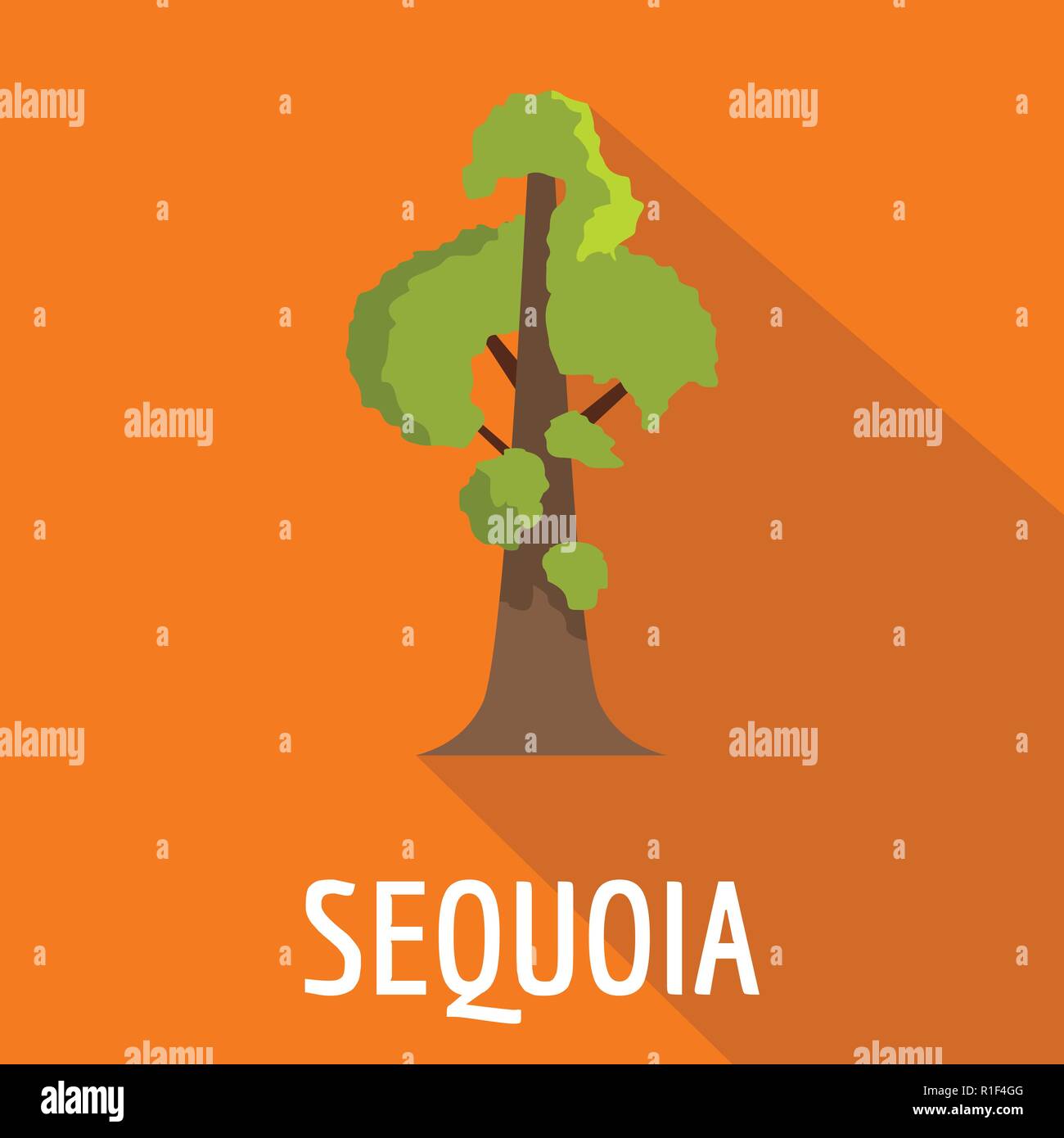 Sequoia icon. Flat illustration of sequoia vector icon for web Stock ...