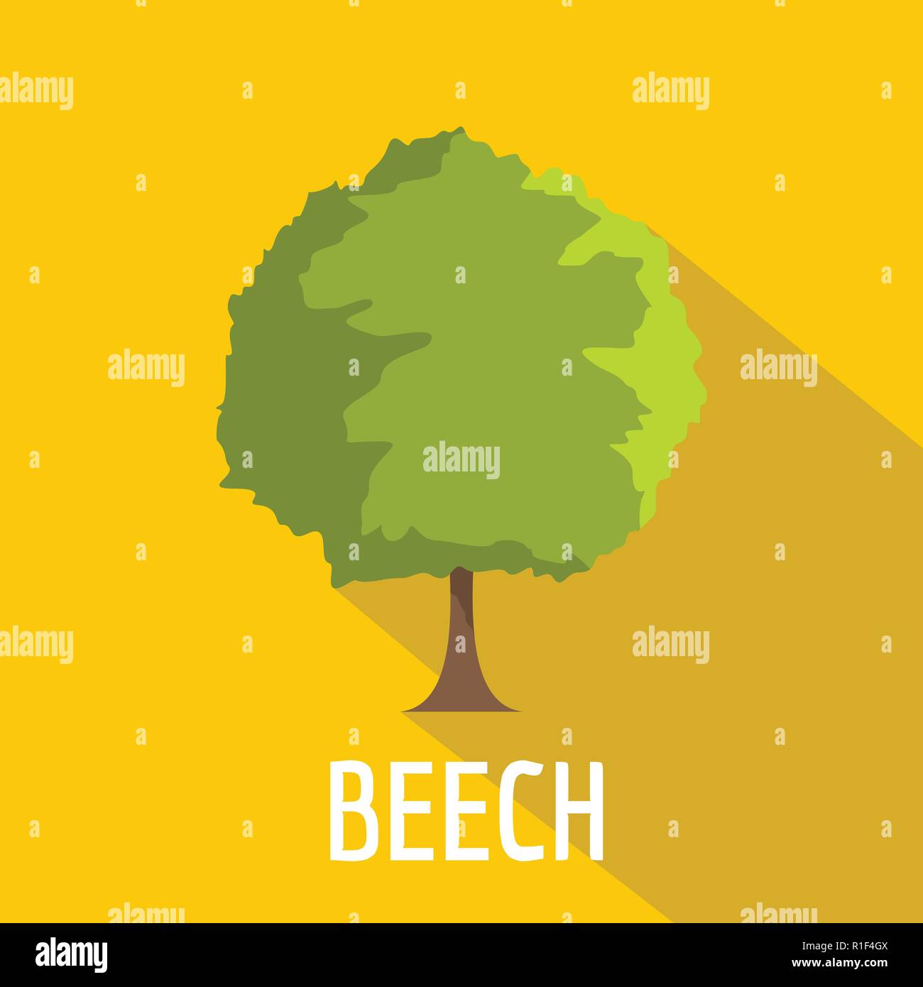 Beech tree icon. Flat illustration of beech tree vector icon for web ...