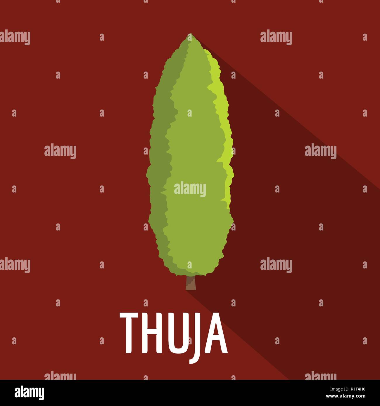 Thuja tree icon. Flat illustration of thuja tree vector icon for web ...