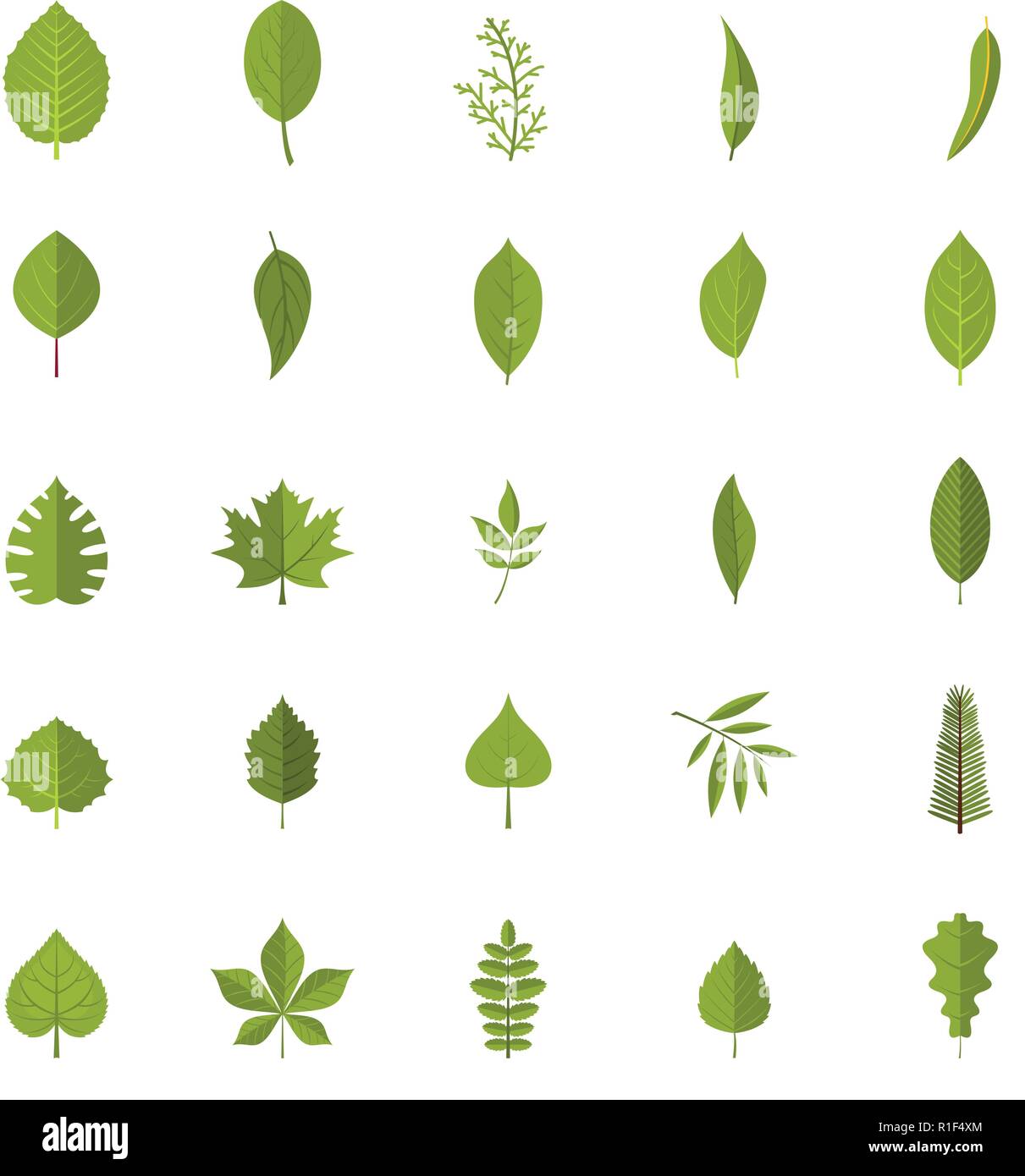 Leaf icons set. Flat illustration of 25 leaf vector icons isolated on ...