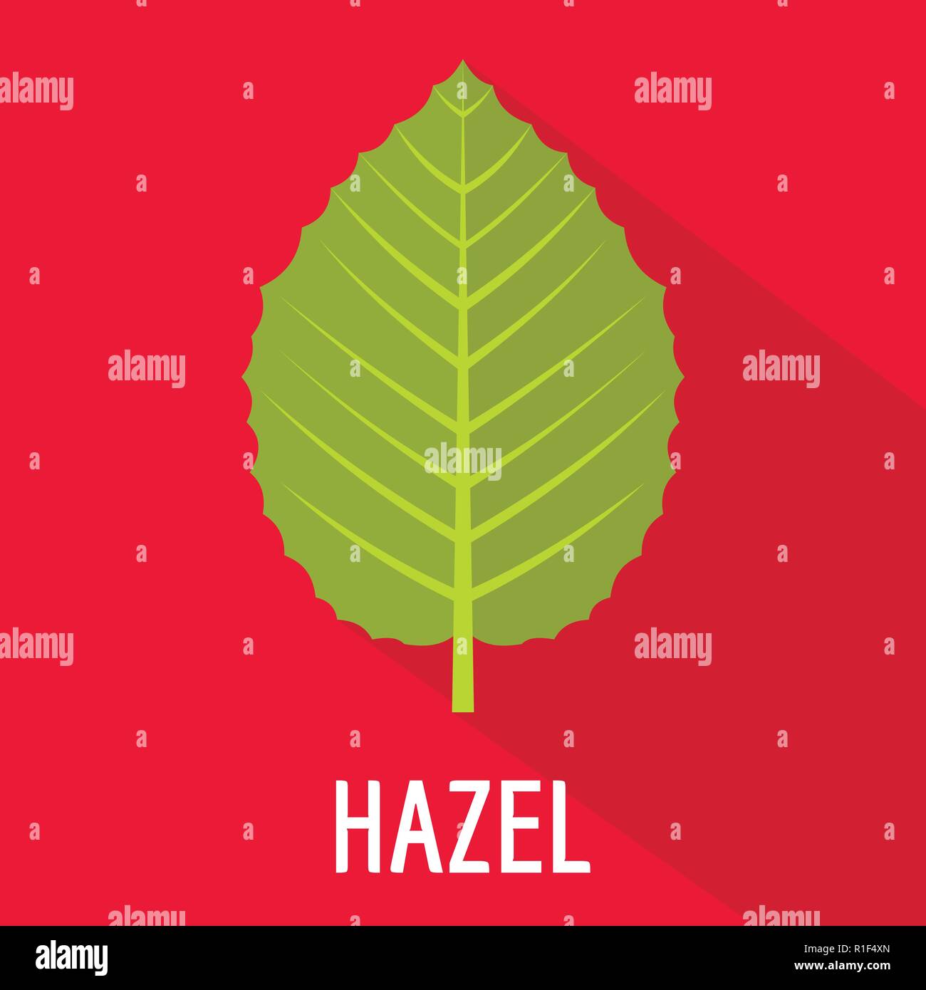 Hazel structure Stock Vector Images - Alamy