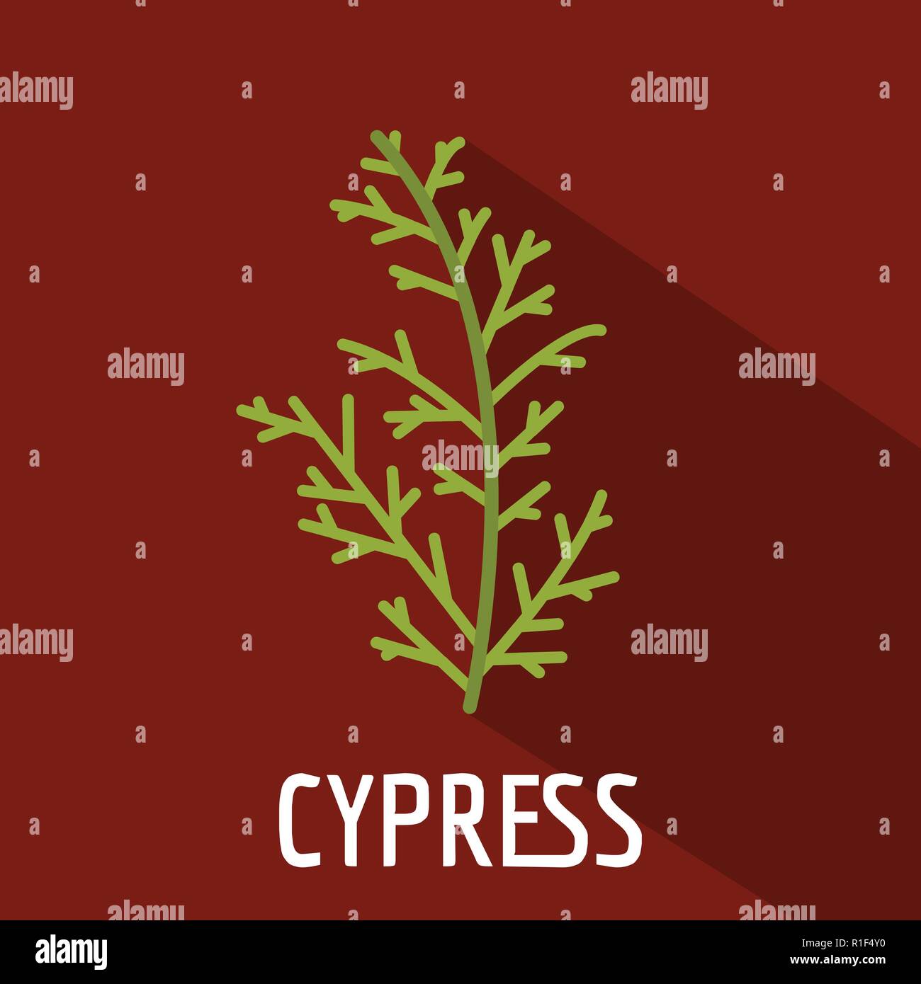 Cypress leaf icon. Flat illustration of cypress leaf vector icon for ...