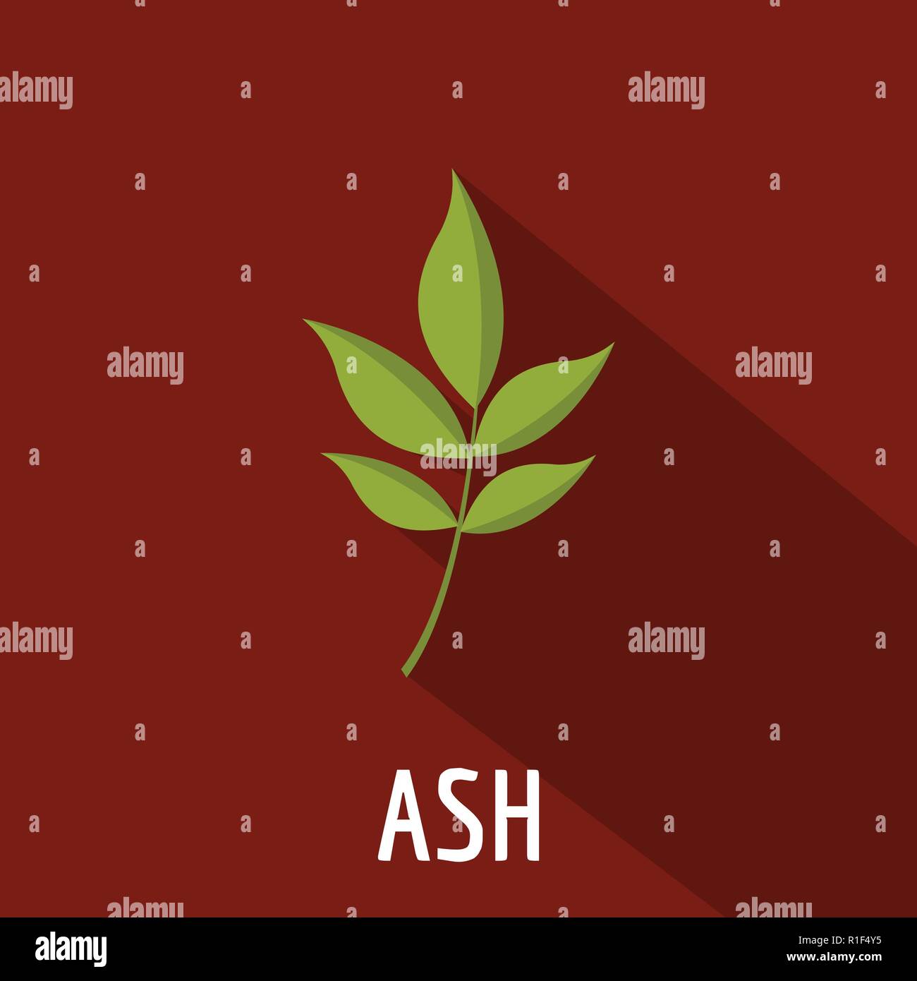 Ash leaf icon. Flat illustration of ash leaf vector icon for web Stock ...