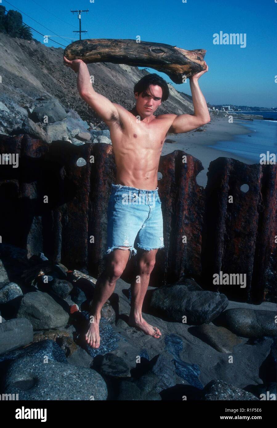 LOS ANGELES, CA - DECEMBER 14: (EXCLUSIVE) Reality Television ...