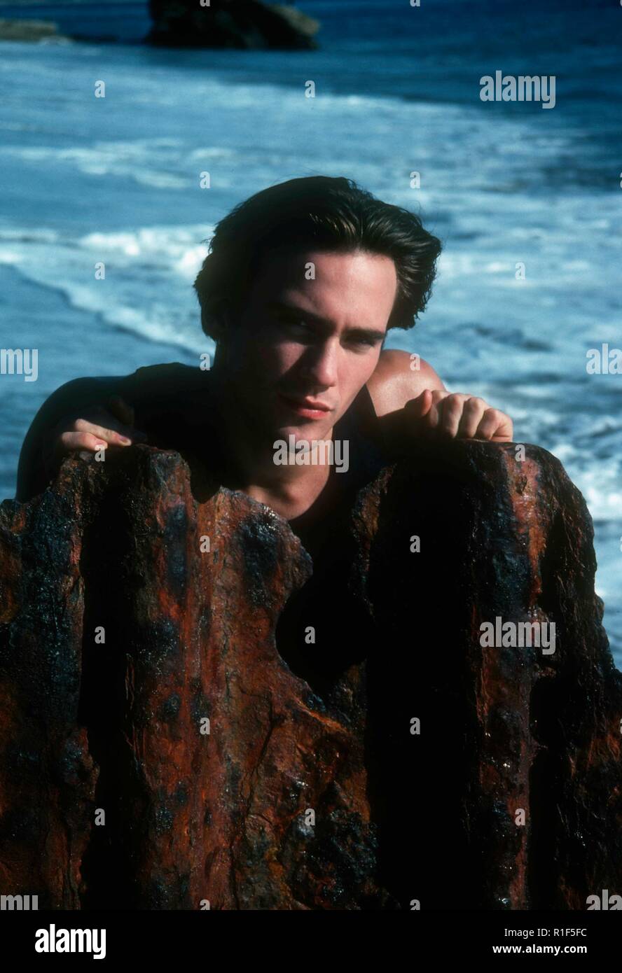 LOS ANGELES, CA - DECEMBER 14: (EXCLUSIVE) Reality Television ...