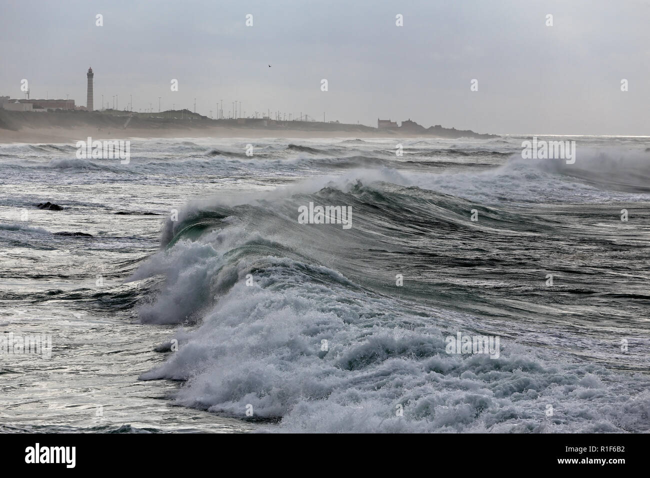 Autumn seascape. Long wave approaching the northern portuguese coast ...