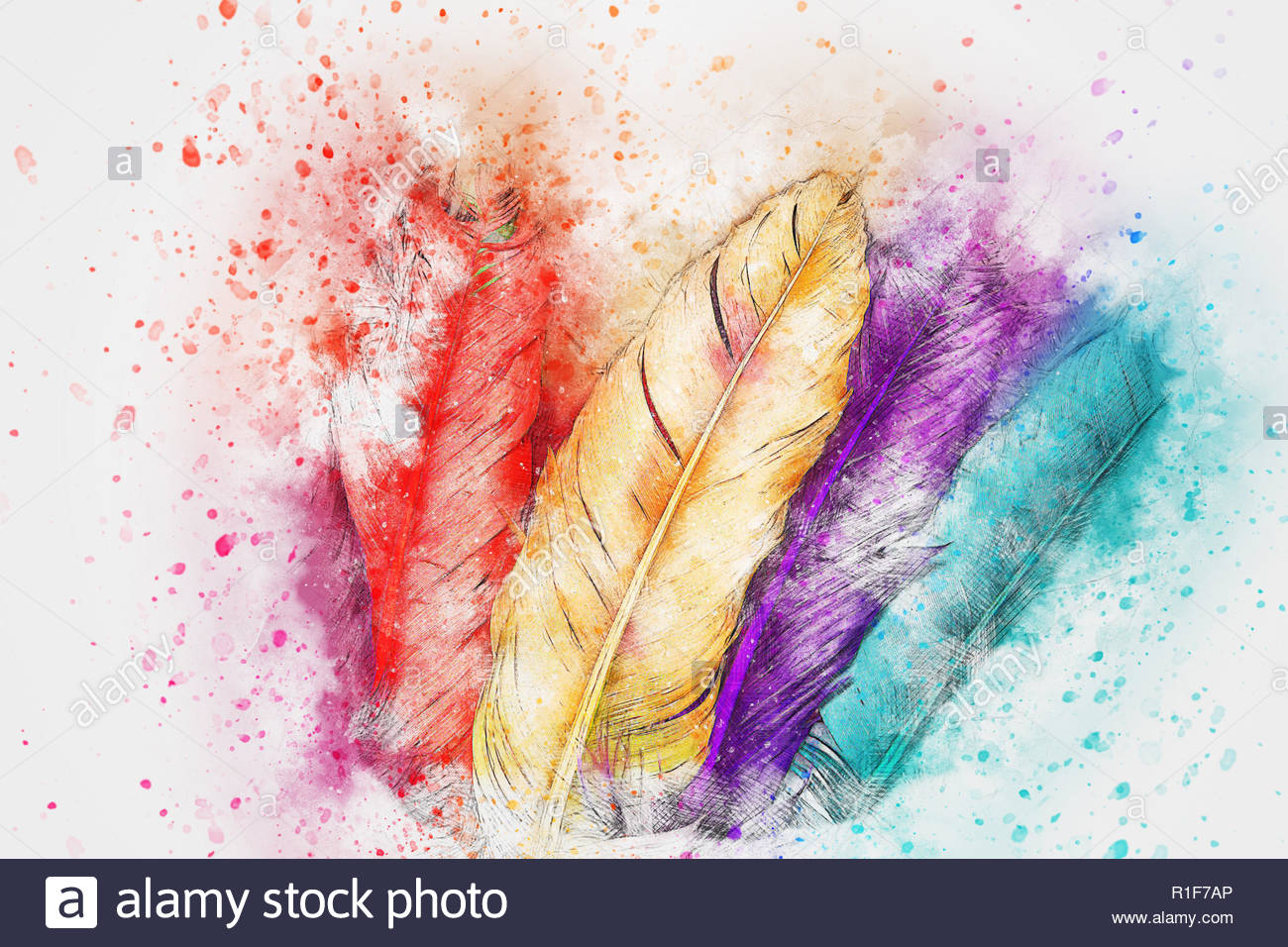 Body Covering Of Feathers High Resolution Stock Photography and Images ...