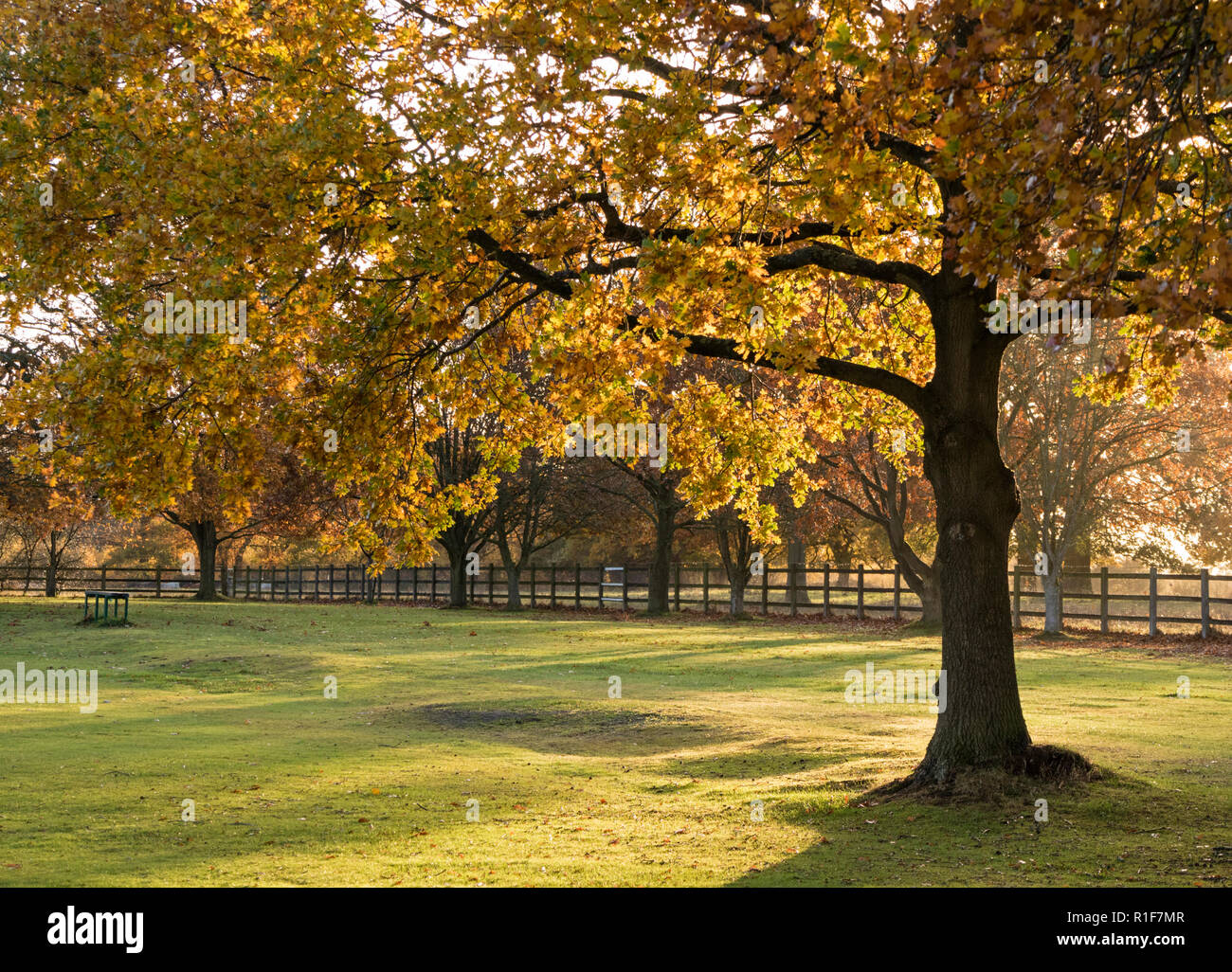 English landscapes autumn hi-res stock photography and images - Alamy