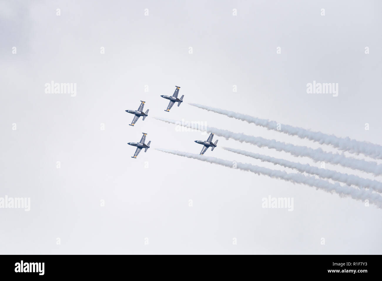 Novosibirsk, Russia - August 5, 2018: Aerobatic team Russ on aircraft L ...