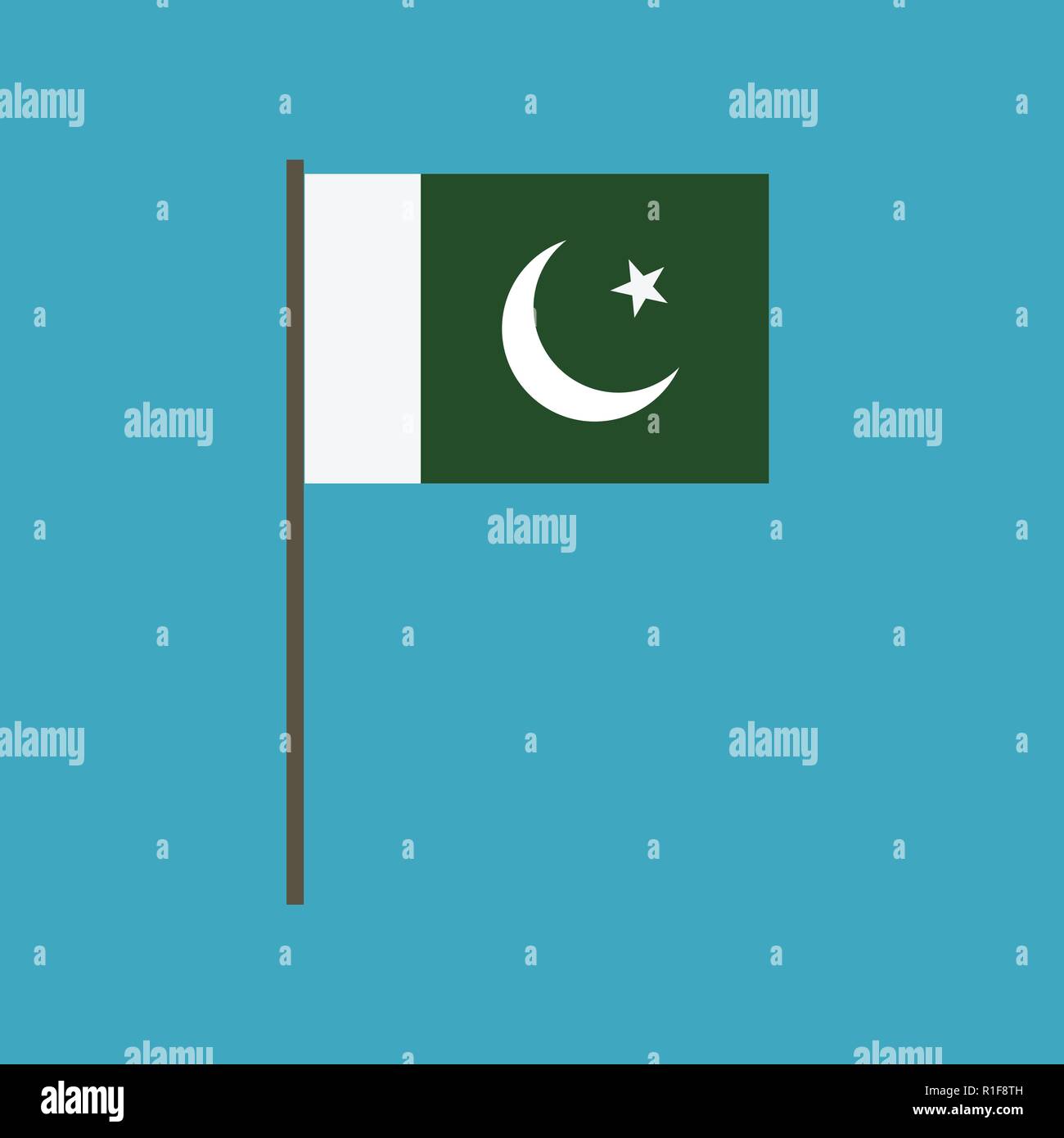 Pakistan flag icon in flat design. Independence day or National day ...