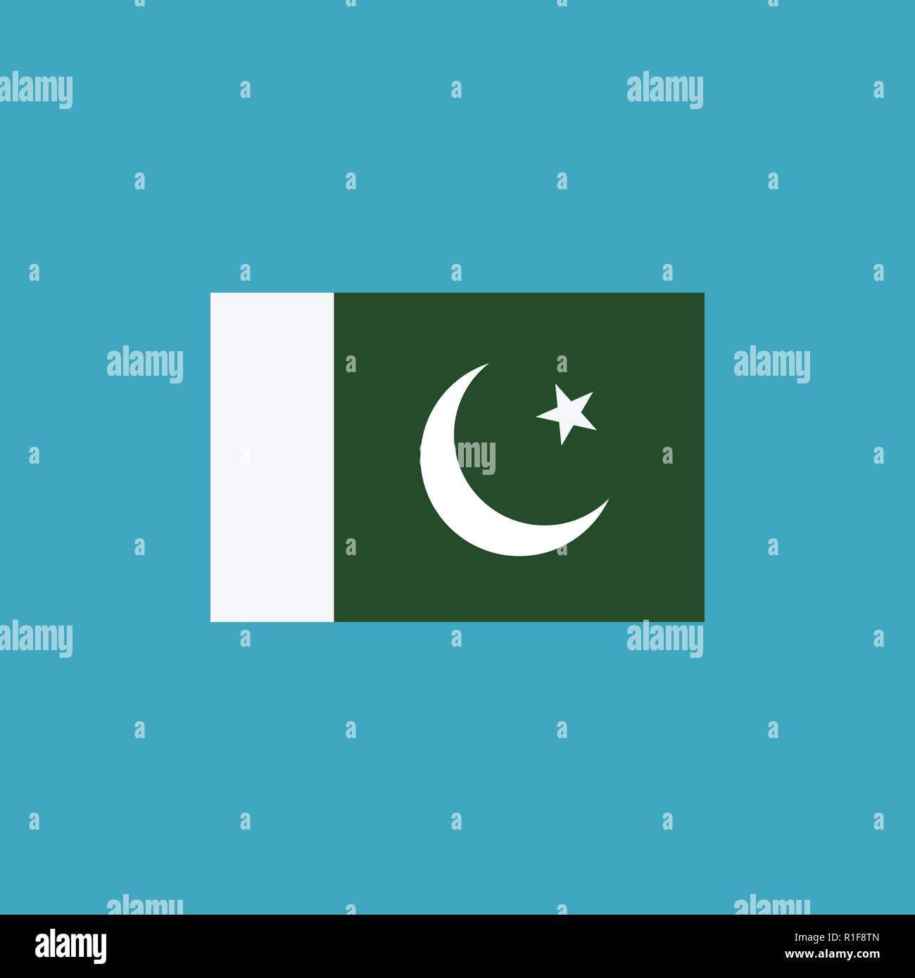 Pakistan flag icon in flat design. Independence day or National day ...