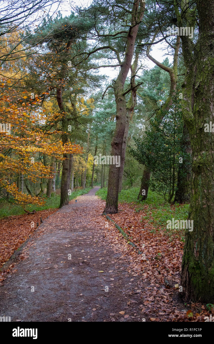 Autumnal scenes at Ogden Water nature reserve, Halifax, UK Stock Photo ...