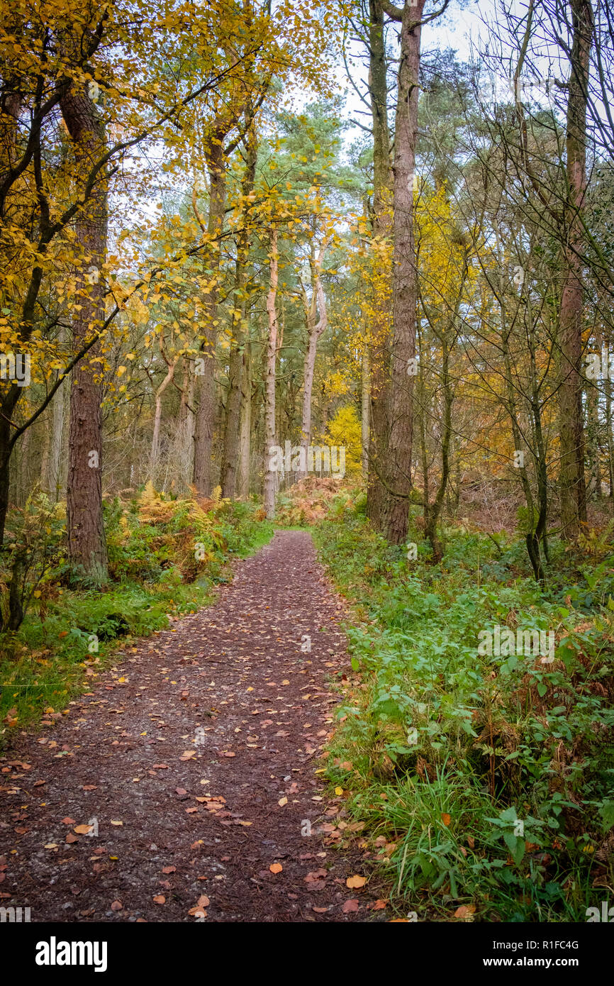 Autumnal scenes at Ogden Water nature reserve, Halifax, UK Stock Photo ...