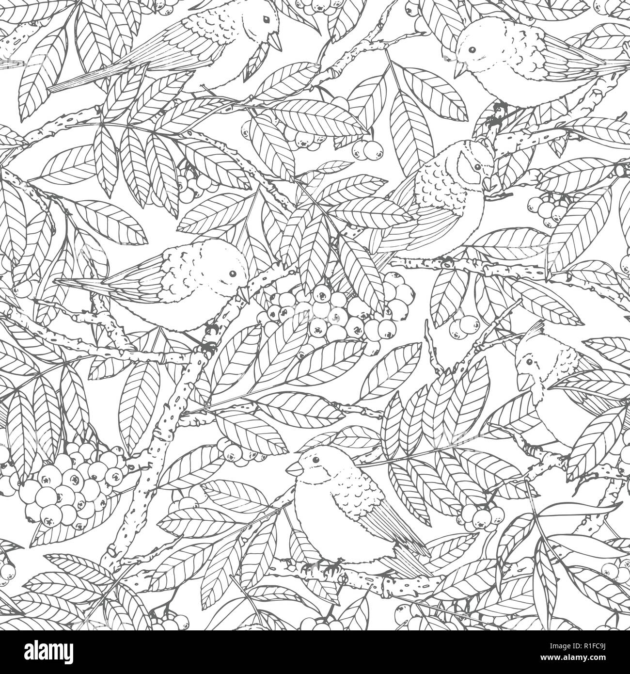 Birds on branches in Stock Vector Images - Alamy